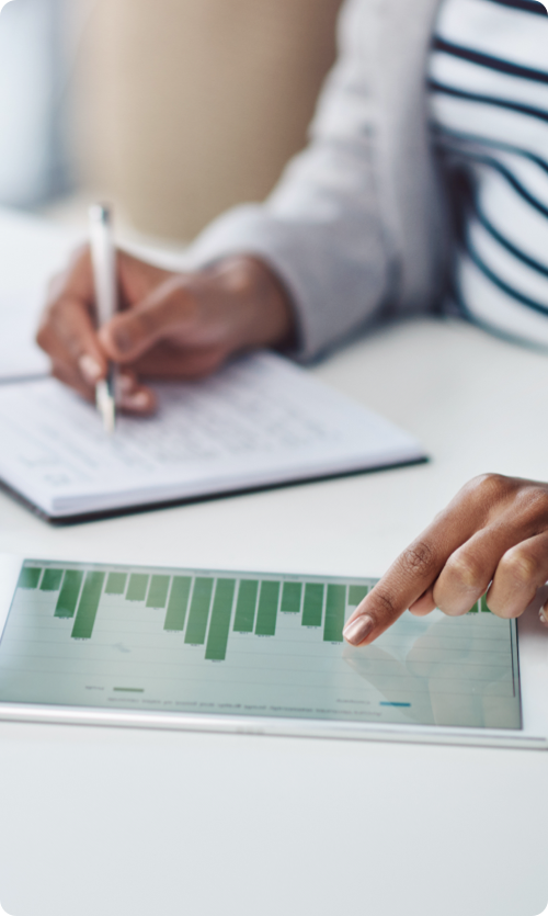 Expert BEE Audit Assistance